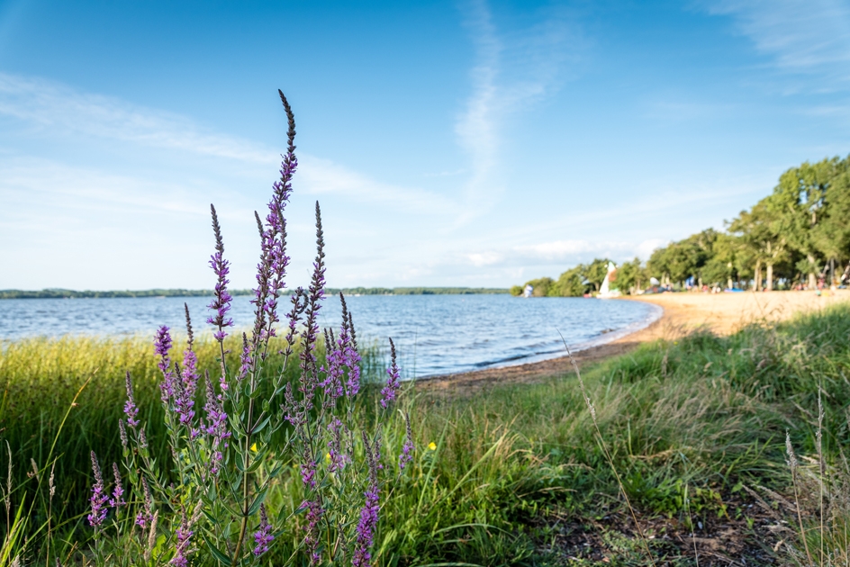 Plage du lac de Léon à LEON | Plages Landes